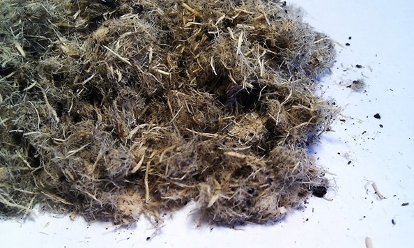 Pindstrup - Professional products Forest Gold