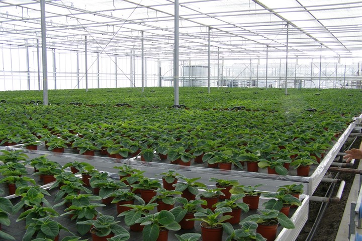 Pindstrup - Professional products